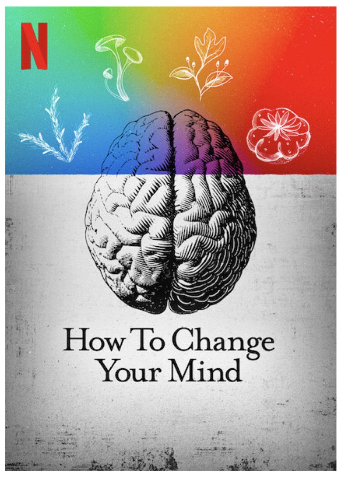 Psychedelics go mainstream: How to change Your Mind Netflix & Book ...
